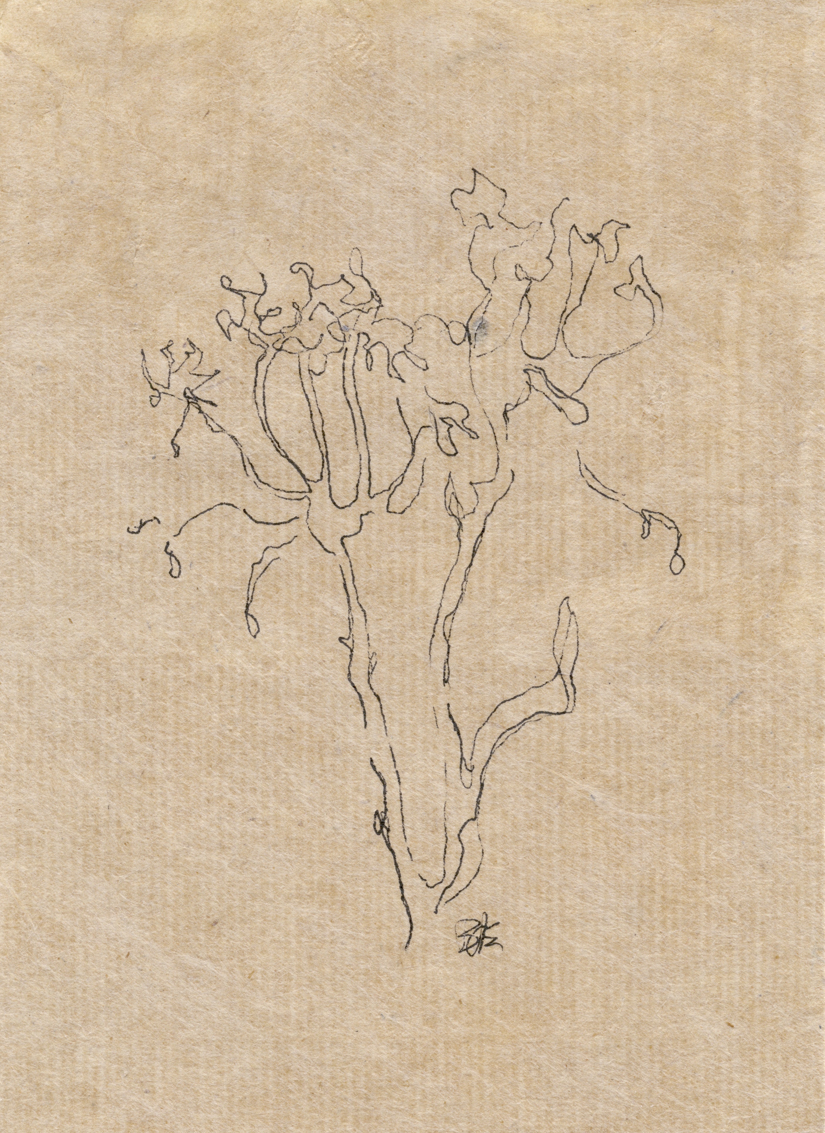Small Contour Flower